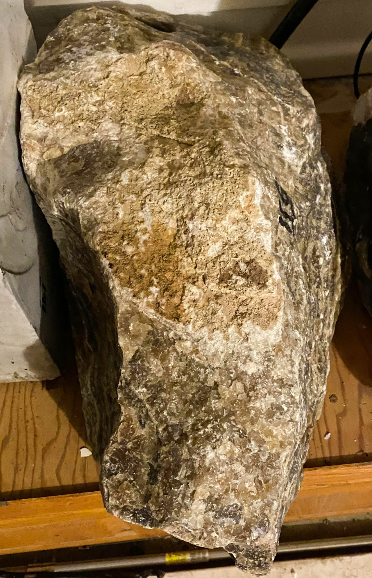 Creative Collaborations - Pacific Northwest Sculptors